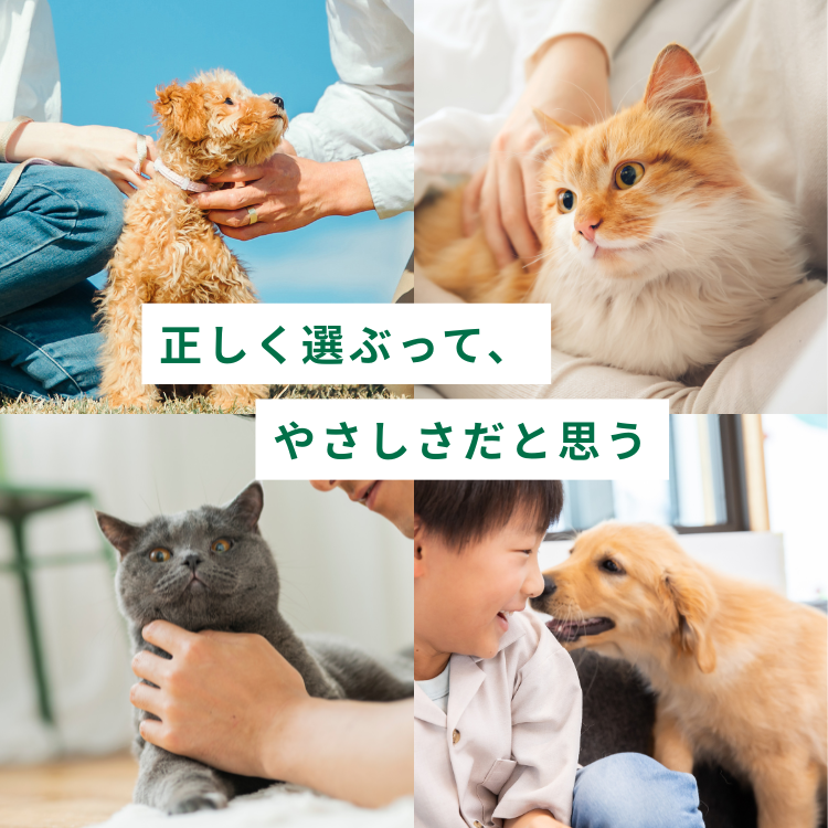 anicom select｜アニコムセレクト – anicomselect(アニコムセレクト)